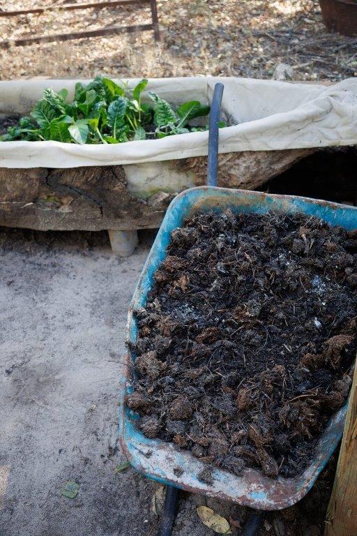 Tsowa Unveiled: Exploring the Operations of a Truly African Remote ...